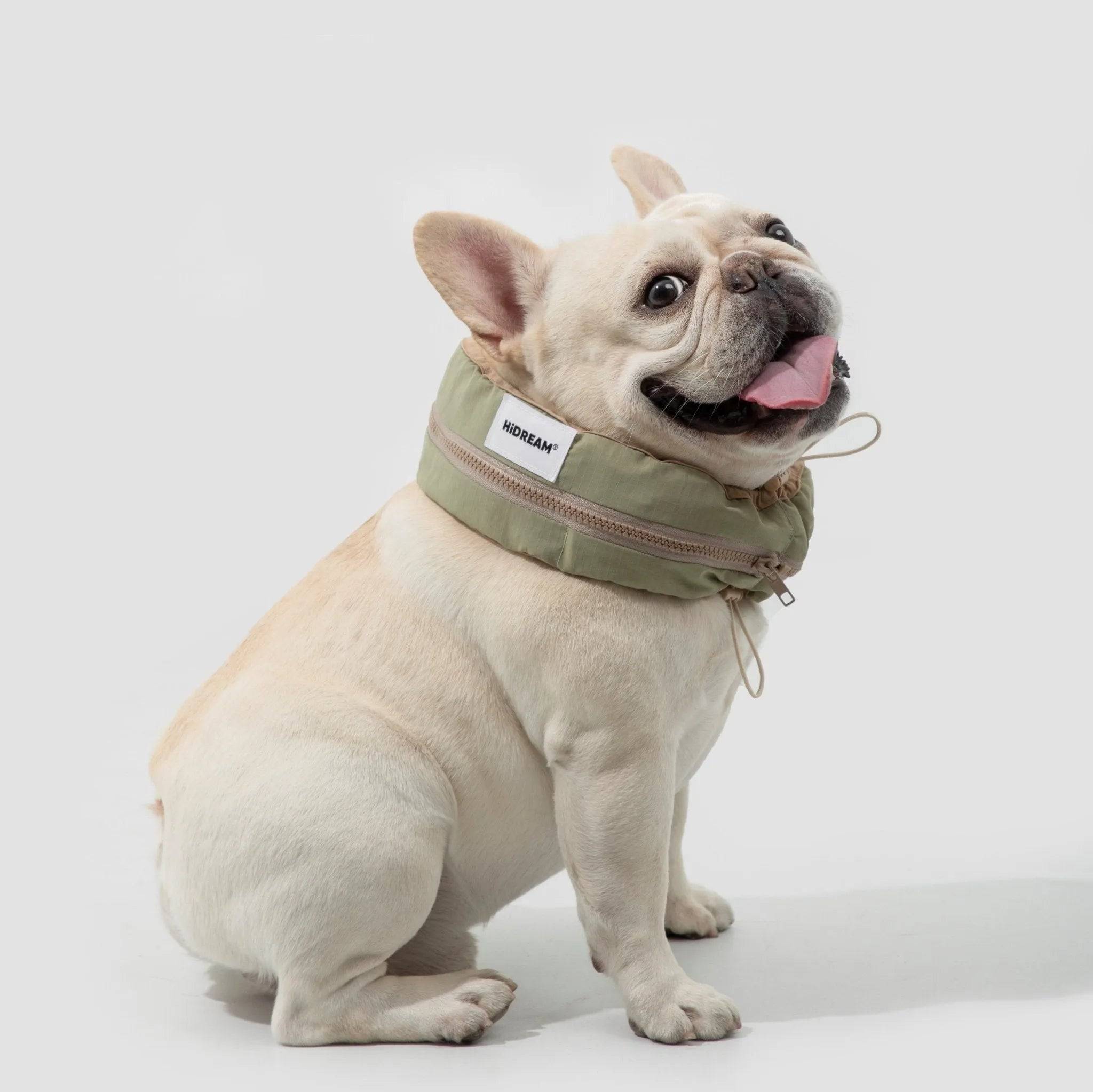 HiDREAM Dog Cooling Collar | Summer Pet Gel Collar – HiDREAM Australia