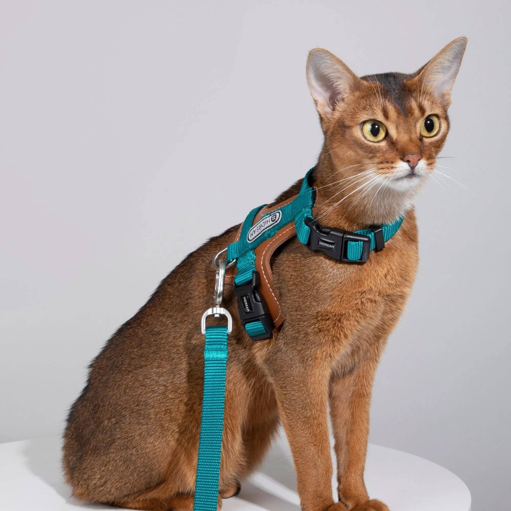 HiDREAM Bobo Series Leather Cat Vest Set – Stylish Lightweight Cat ...