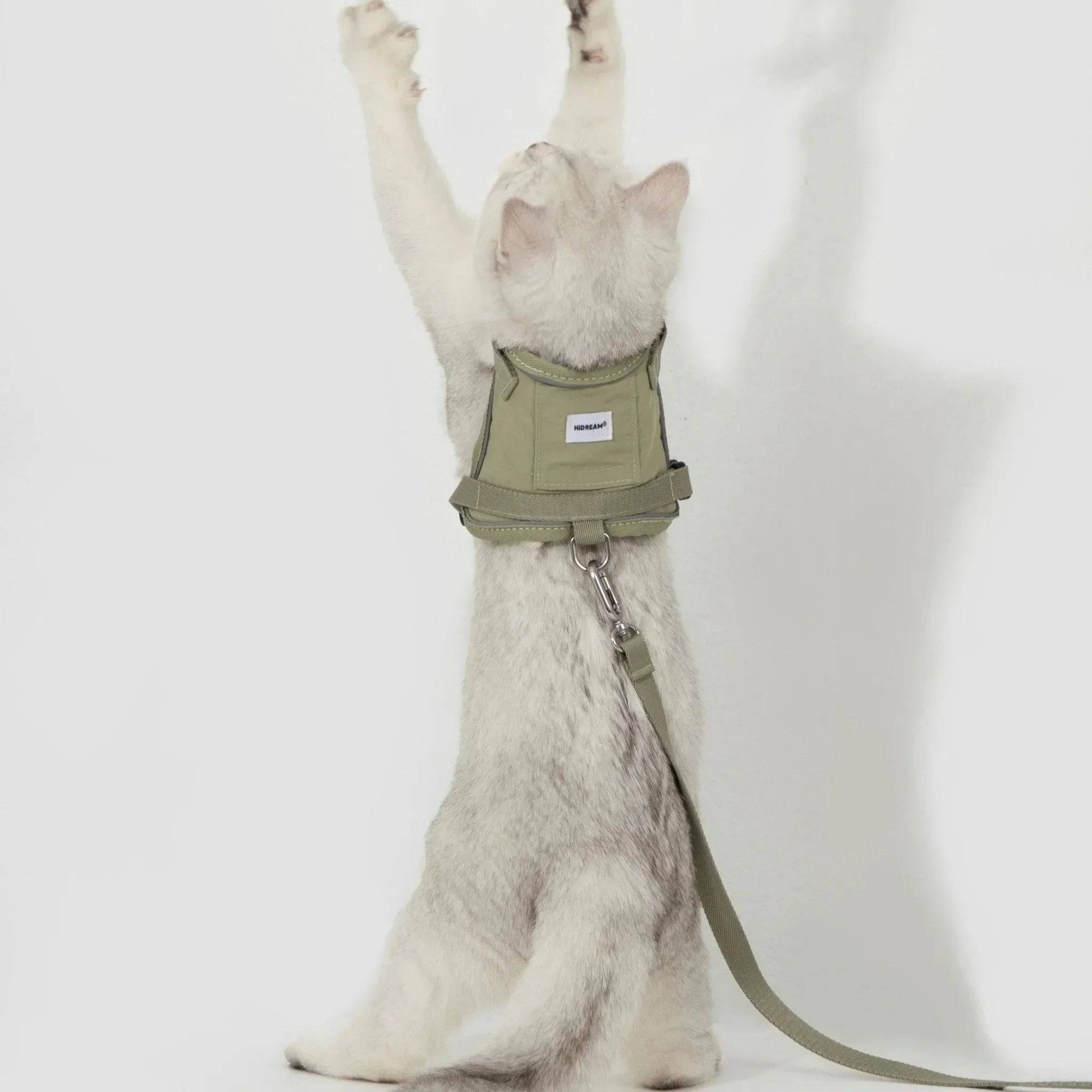 HiDREAM Valley Cat Harness – Soft, Secure & Reflective Vest – HiDREAM ...