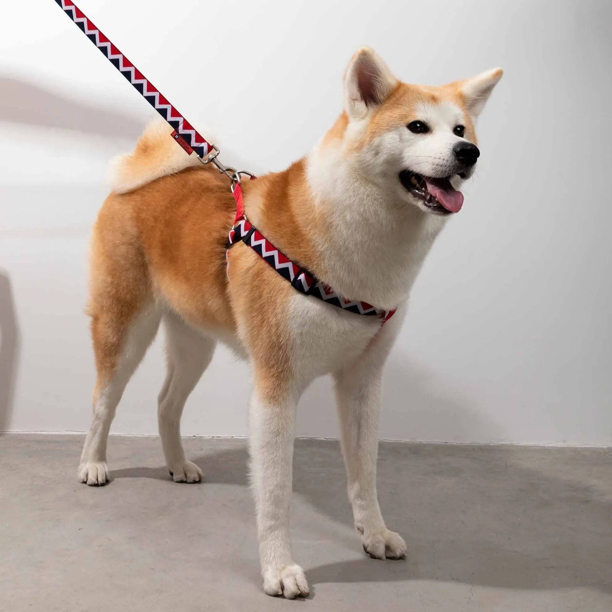 HiDREAM ‘Y’ Dog Harness Bundle – Adjustable, Reflective & Ergonomic ...
