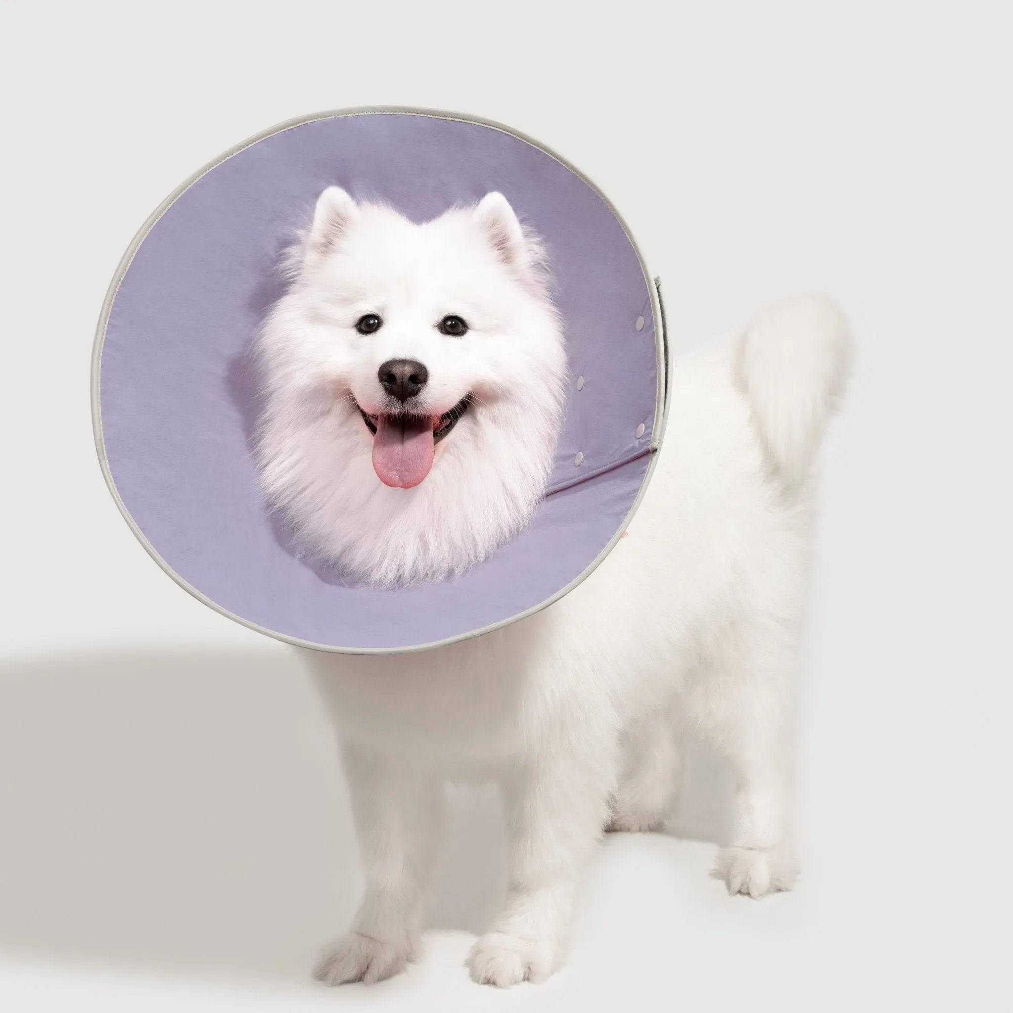 HiDREAM Taper Elizabethan Ring – Soft Recovery Collar for Cats & Dogs ...